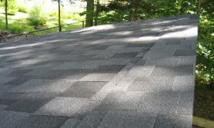 How To Build a Shed with a Slanted Roof [Step-by-Step Guide]