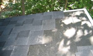 How To Build a Shed with a Slanted Roof [Step-by-Step Guide]