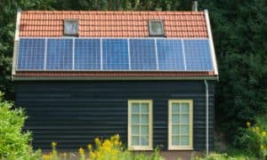 Best Solar Shed Lights for 2024 [with Reviews]