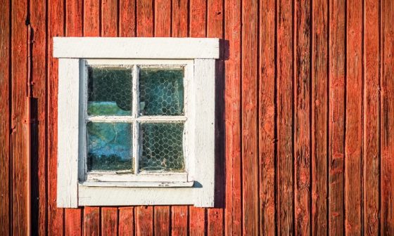 16 Shed Windows Options and Ideas - Let the Sun Shine In!