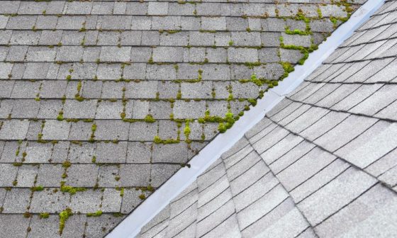 How to Clean Roof Shingles Properly