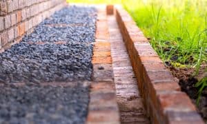 How to Get Rid of Rats Under Shed, Deck, House