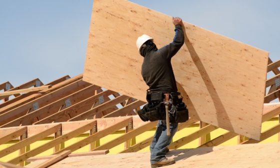 Plywood Grades: Understanding the Different Types and Their Uses