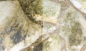 How to Remove Green Algae from Concrete Patio, Driveway, Sidewalk